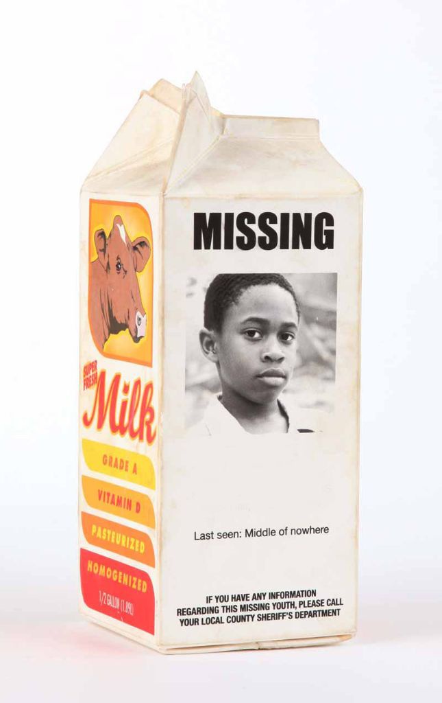 Milk Cardboard Missing customscenario FACEinHOLE